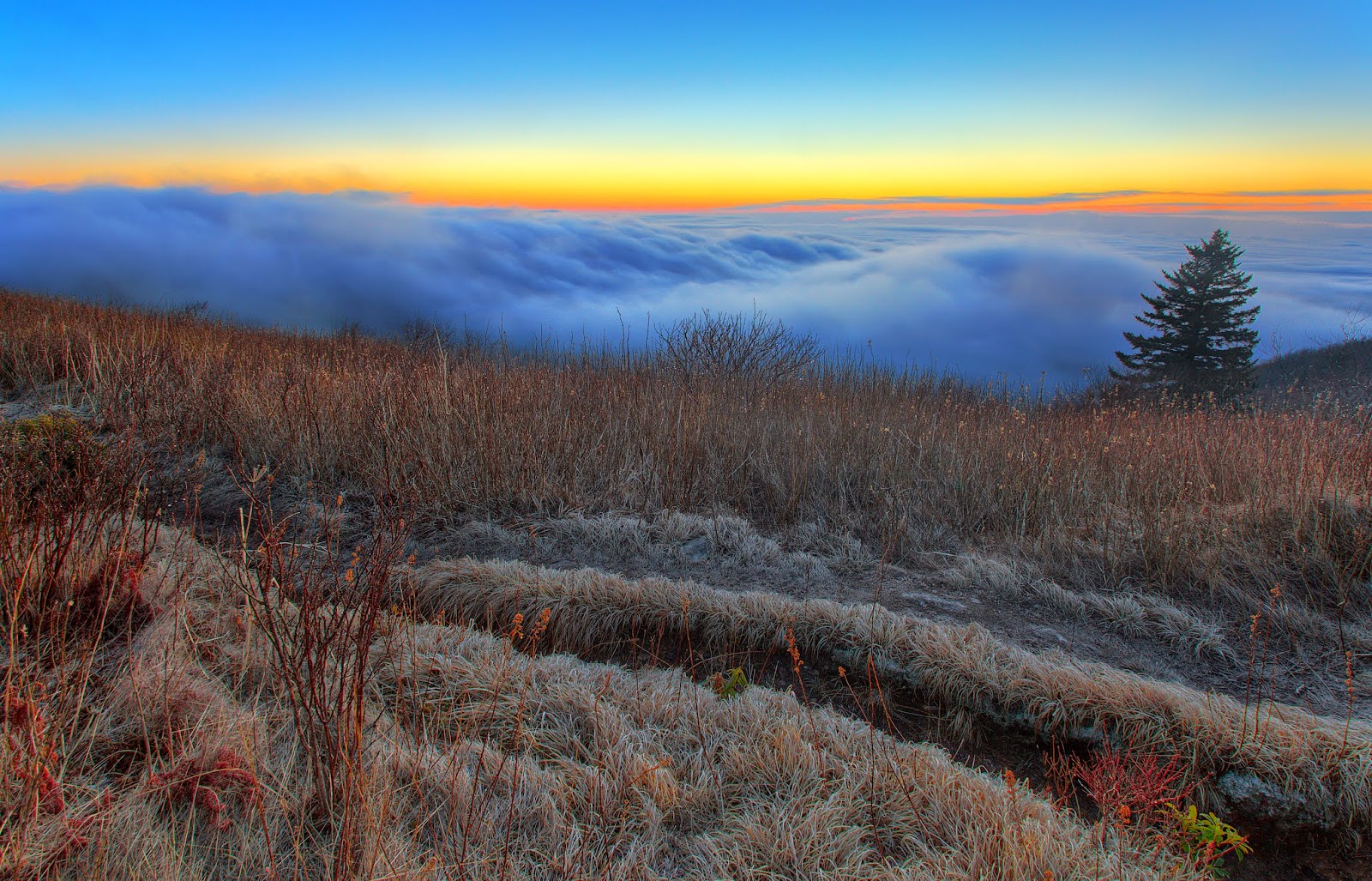 PV Hiking: Black Balsam Knob: March 17th - 19th, 2014