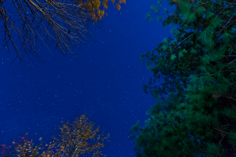 sending postcards: upstate new york