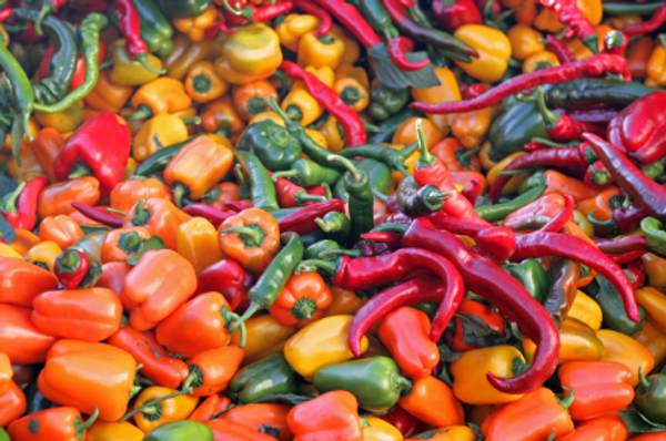 How to Grow Peppers - The Homestead Garden