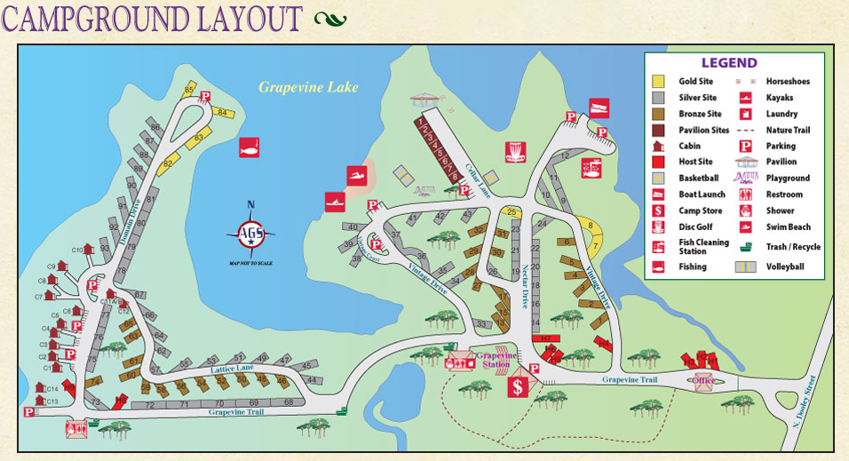 Joy's JOY of Wine: 6 Campy Wine Trips for Summer