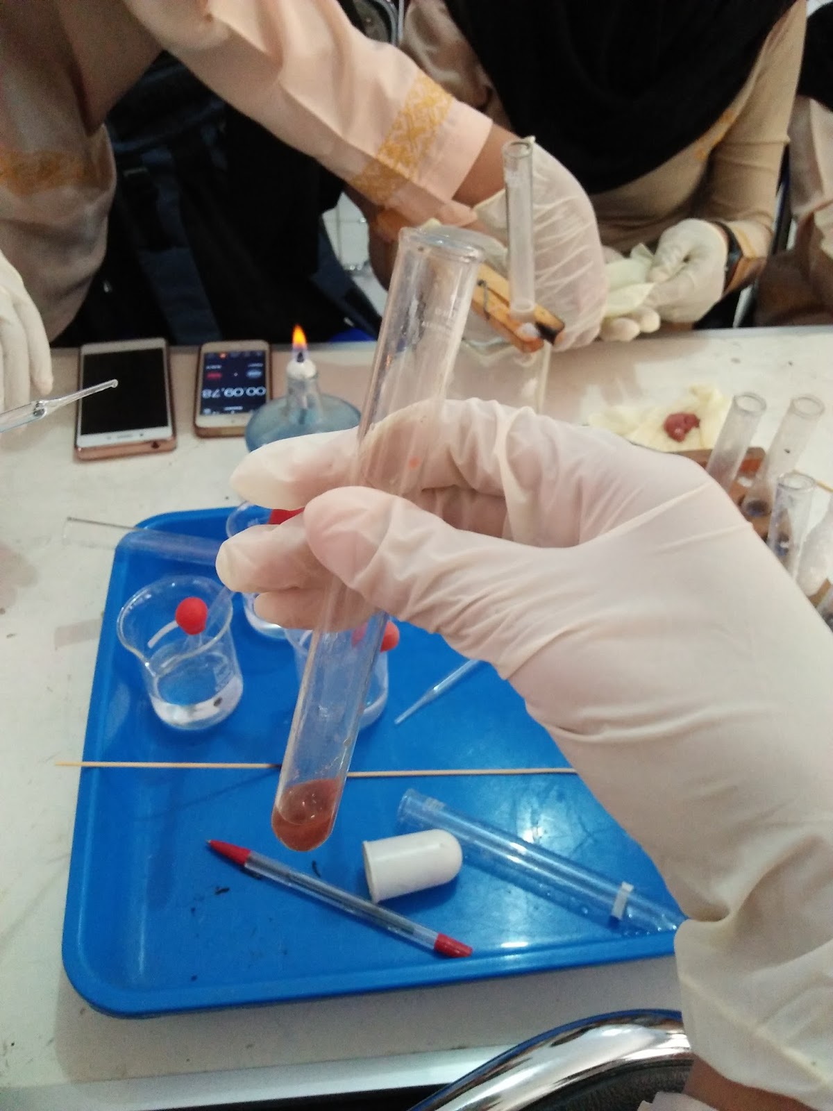 Easy To Learn BIOLOGY: LAPORAN ENZIM KATALASE