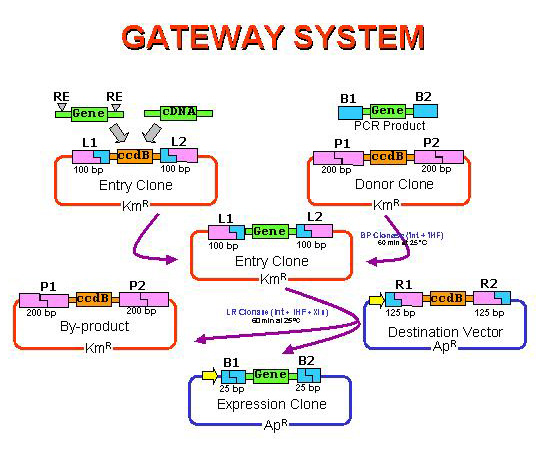 gateway sma 1 ampel