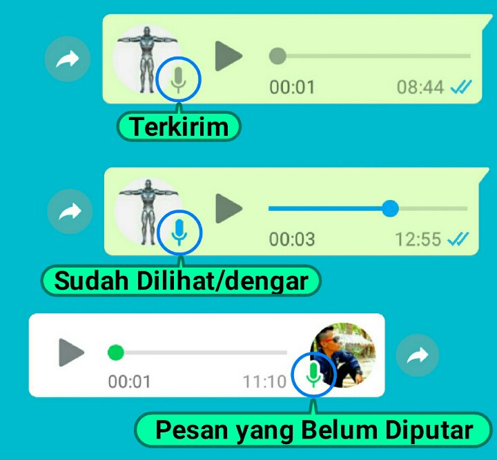 Cara Membuat Kiriman Pesan Suara (Voice Note) di WhatsApp - Bung Pranki