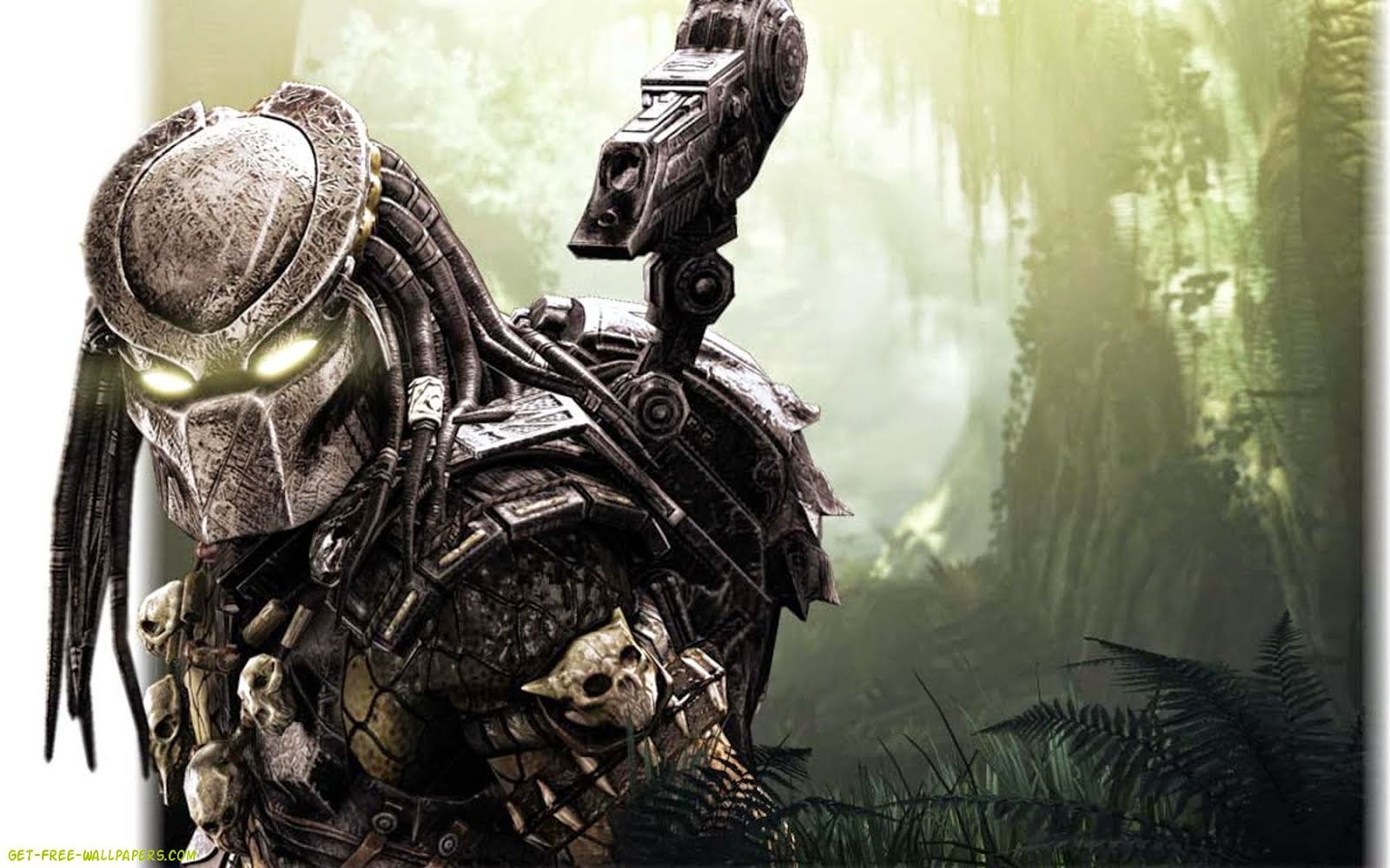 Las Colecciones Asombrosas Predators