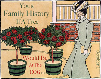 Reflections From the Fence: The Trees of my Family Tree, 110th Carnival ...