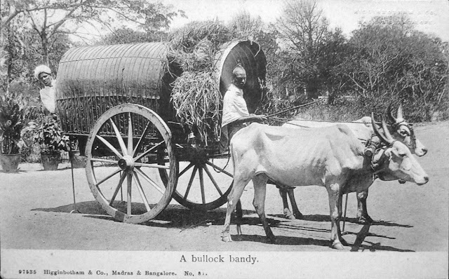 A Bullock Bandy - Vintage Postcard - Old Indian Photos
