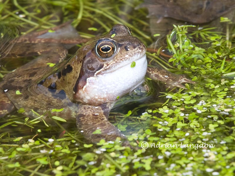 images-naturally!: January 2012