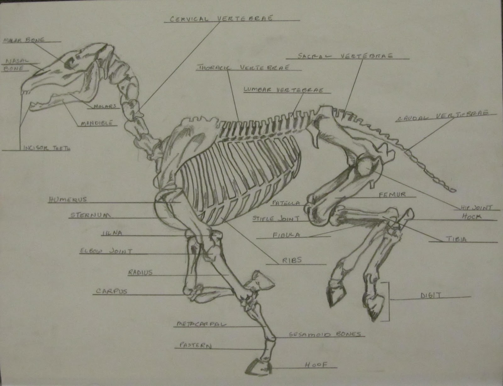 Art School Confidential