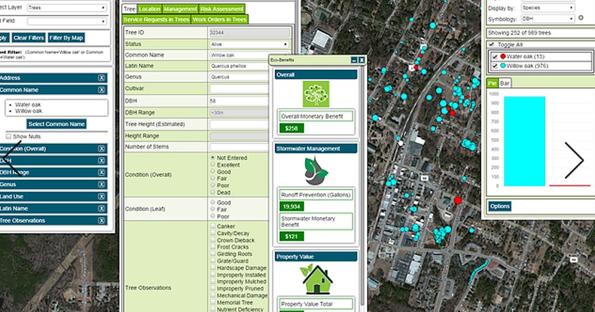 INGENIERIA FORESTAL: Software "Tree Plotter"