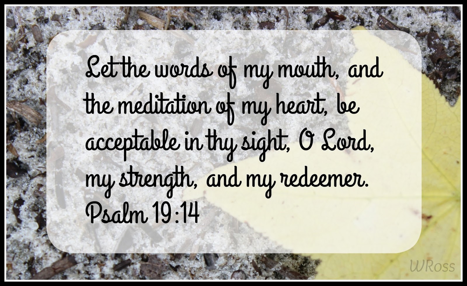 Life at Rossmont: Scripture and a Snapshot, October 16