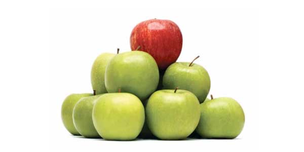 Marketing 101: The First Step of Market Differentiation ~ The Market ...