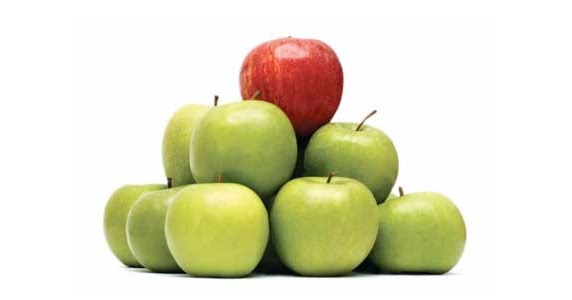 Marketing 101: The First Step of Market Differentiation ~ The Market ...