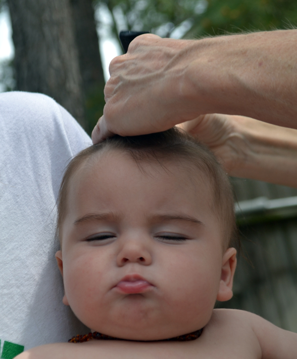 the smores. party of four.: savio's mohawk.