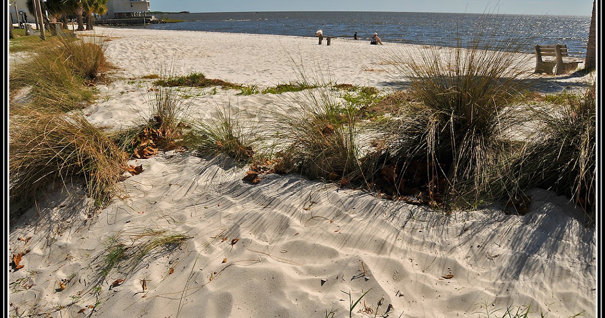 Cedar Key (Florida) Photos: Cedar Key Beach