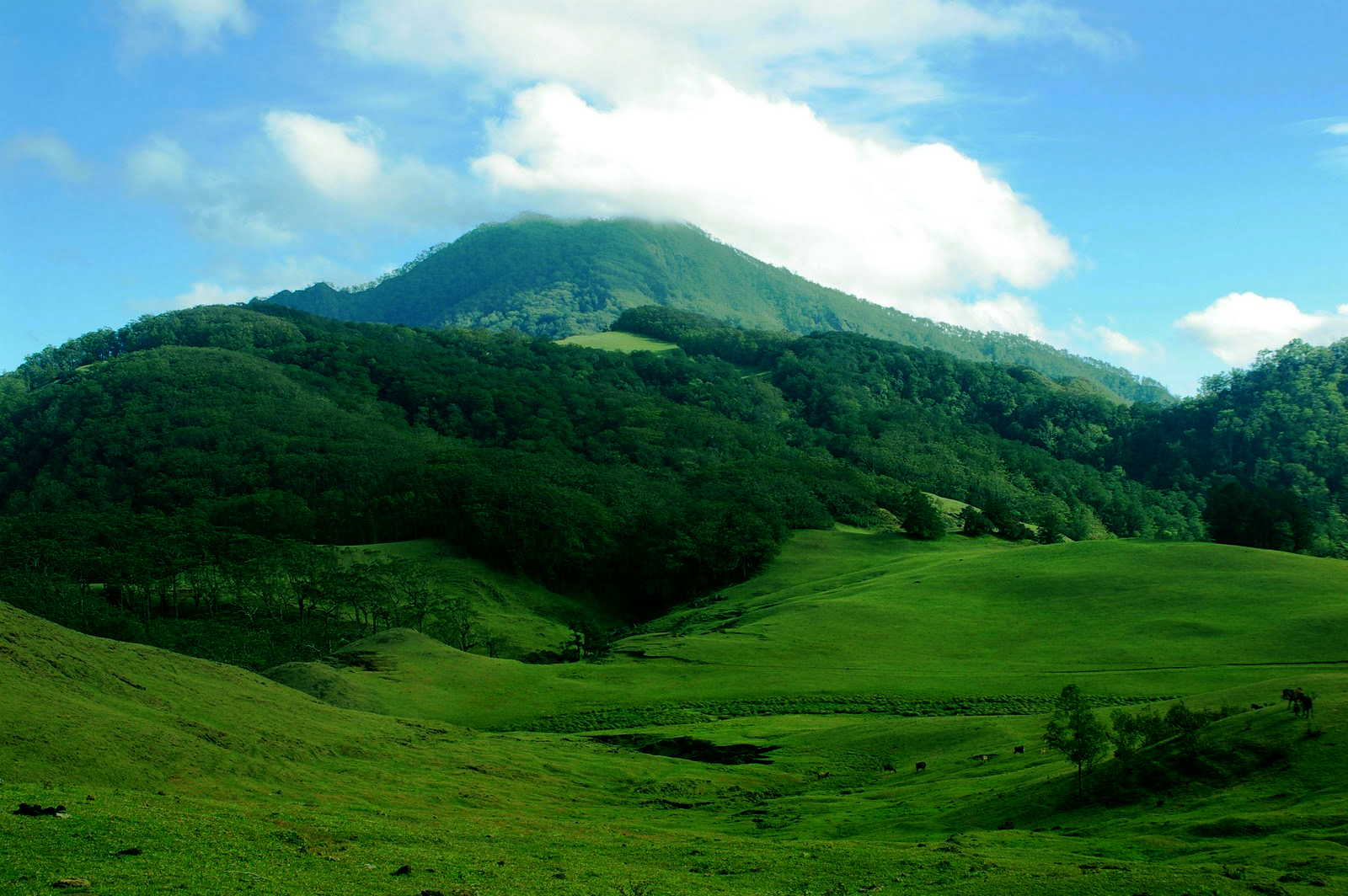 Perjalanan Dari Kupang Menuju Soe | Pesona Gunung Mutis