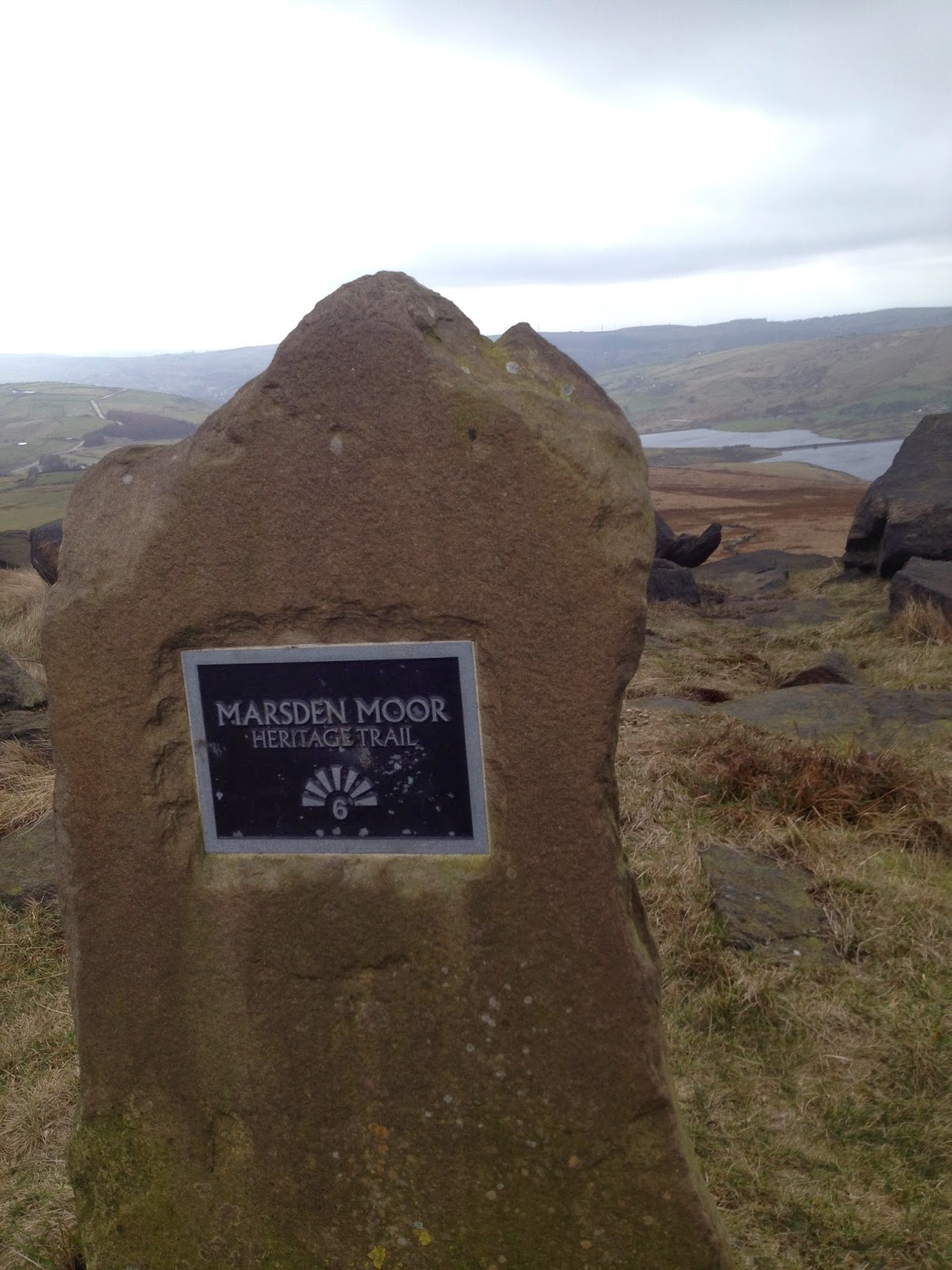 Advanced Kidney Cancer Blog. This blog is to tell my journey with ...