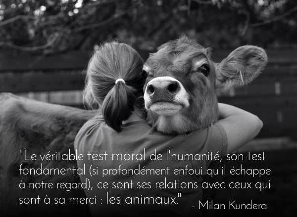 Le Reflet de la Lune: Libération animale : article & essais