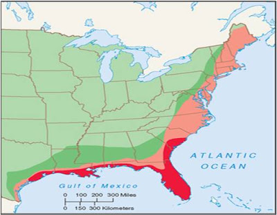 The Sunshine State: Ch. 10 The Southern Coastlands