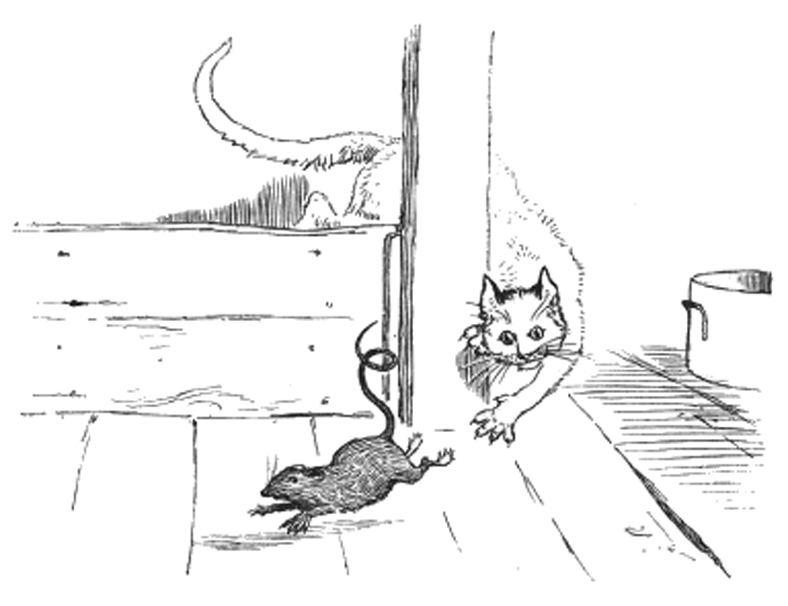 Coloring Pages Colouring Pages Coloring Books: Cat Chasing Mouse