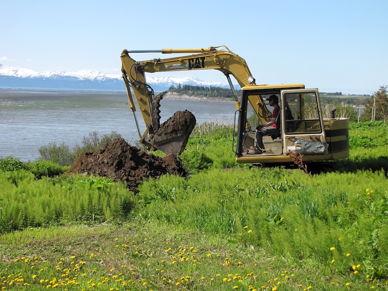 Back to the Land : Digging Begins