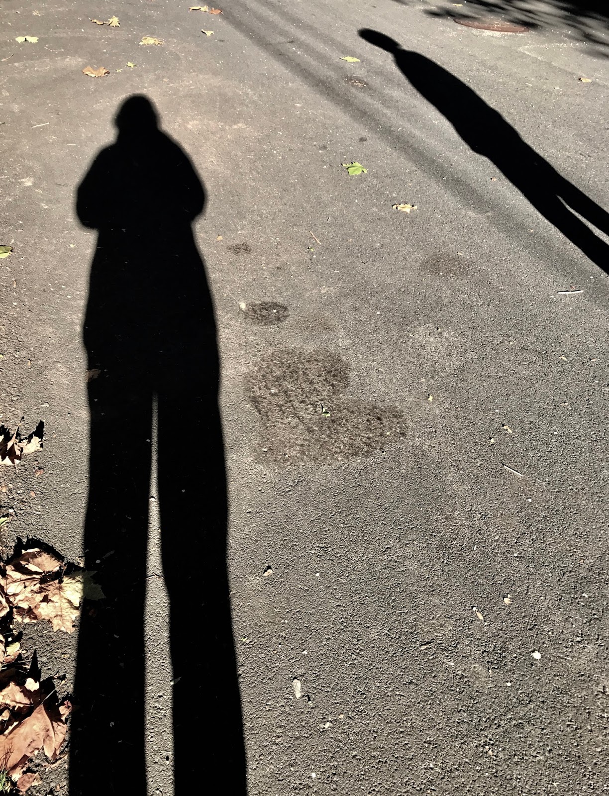 Joyful Puttering: Collecting Creating Connecting: October 2017