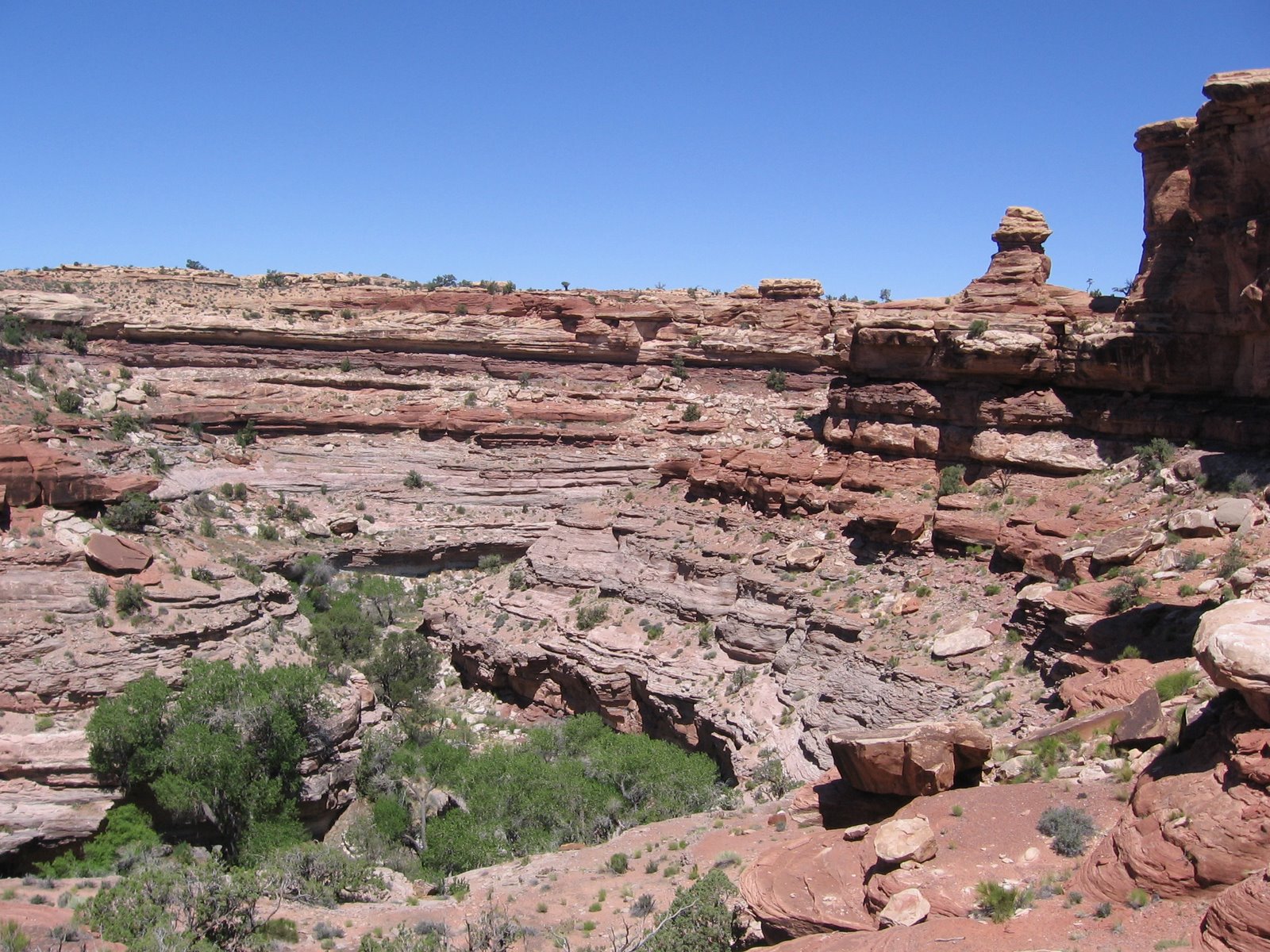 Four Corners Hikes-Canyonlands: Confluence Overlook Trail
