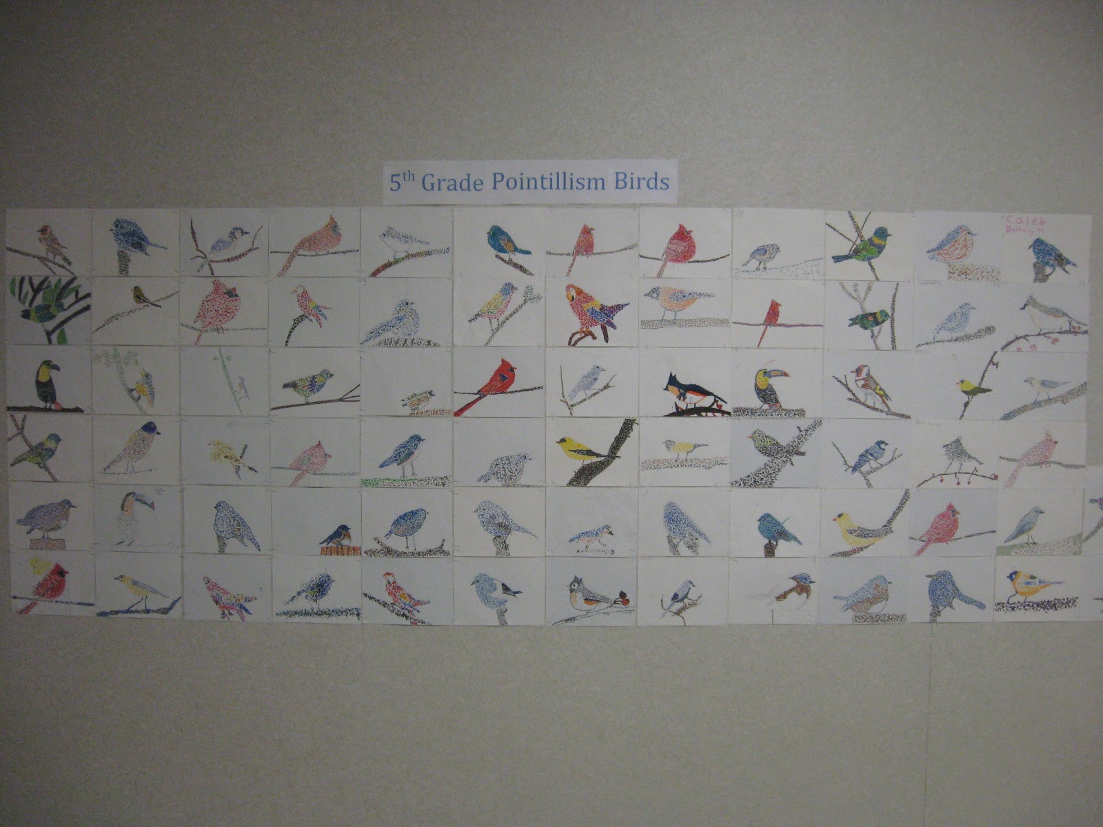 Miss Young's Art Room: Pointillism Bird Bulletin Board
