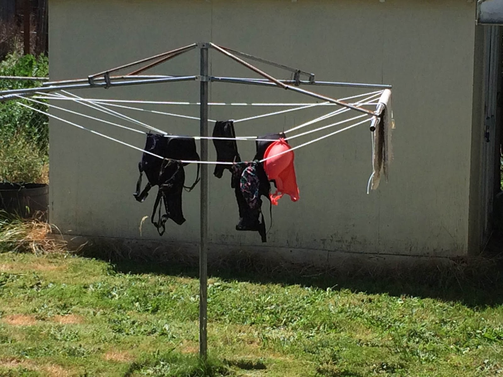 Lingerie Libra: The Lingerie Libra's Lazy Girl Guide to Bra Cleaning