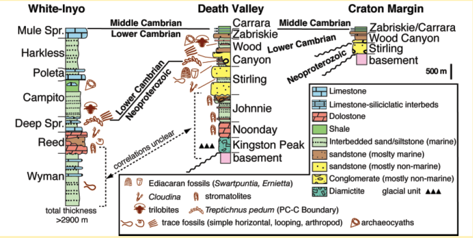 Dawn's Sed Strat Lecture Notes: Regional Strat Column Correlations