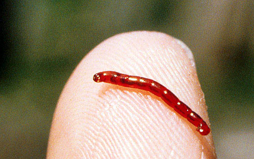 Lacuri, iazuri, bazine, hidroizolatii, constructii acvatice ...