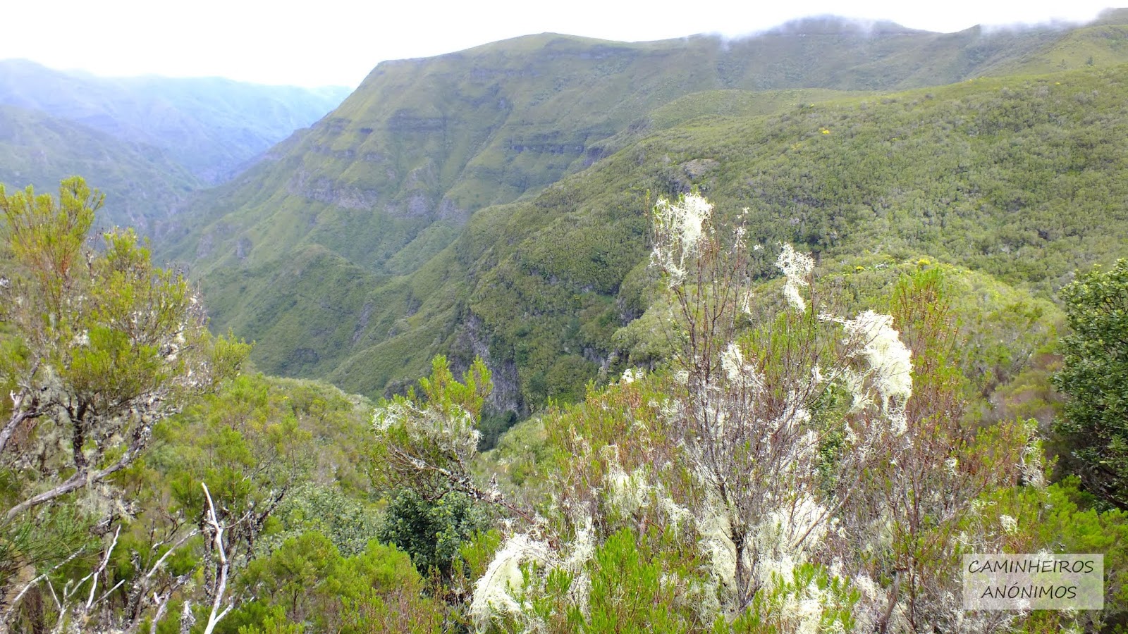 Caminheiros Anónimos Levadas da Madeira : Levada Grande do Paul (Calheta)