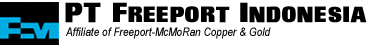 Permasalahan PT. Freeport Indonesia :::. - Gilole