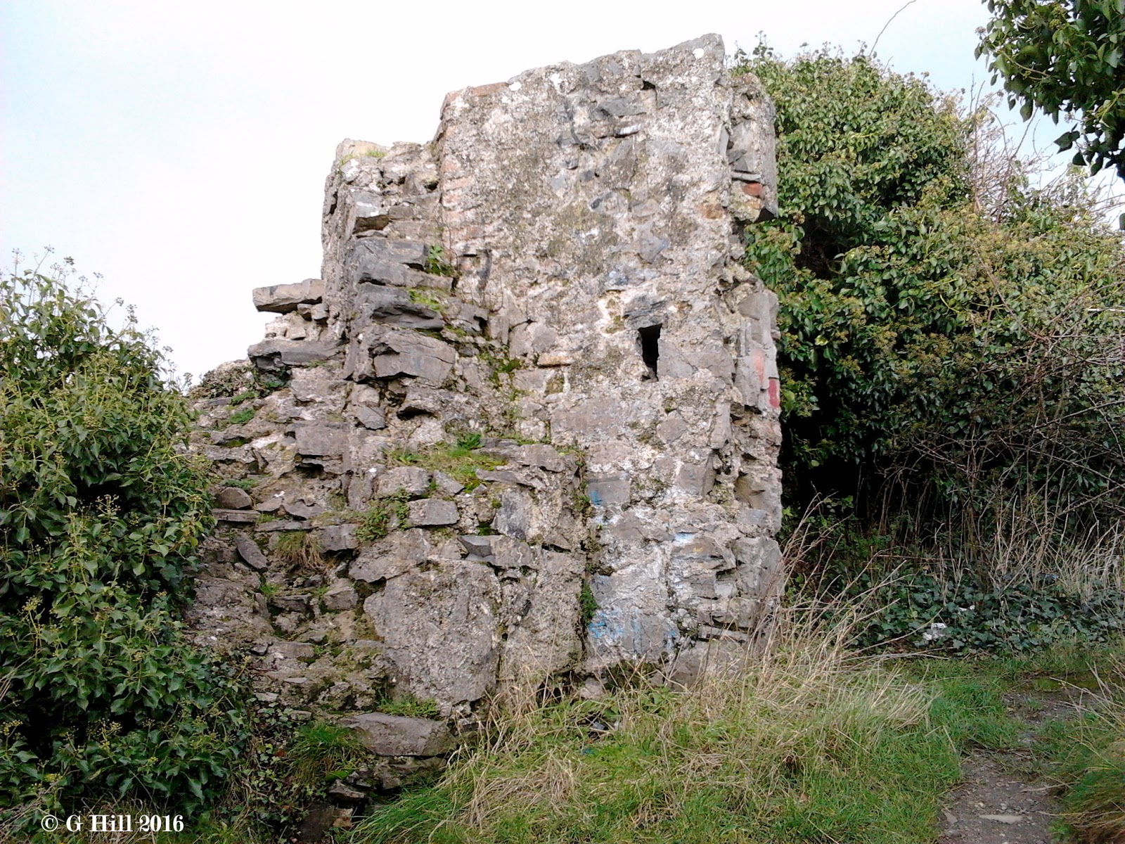 Ireland In Ruins: Ballymount Castle Co Dublin