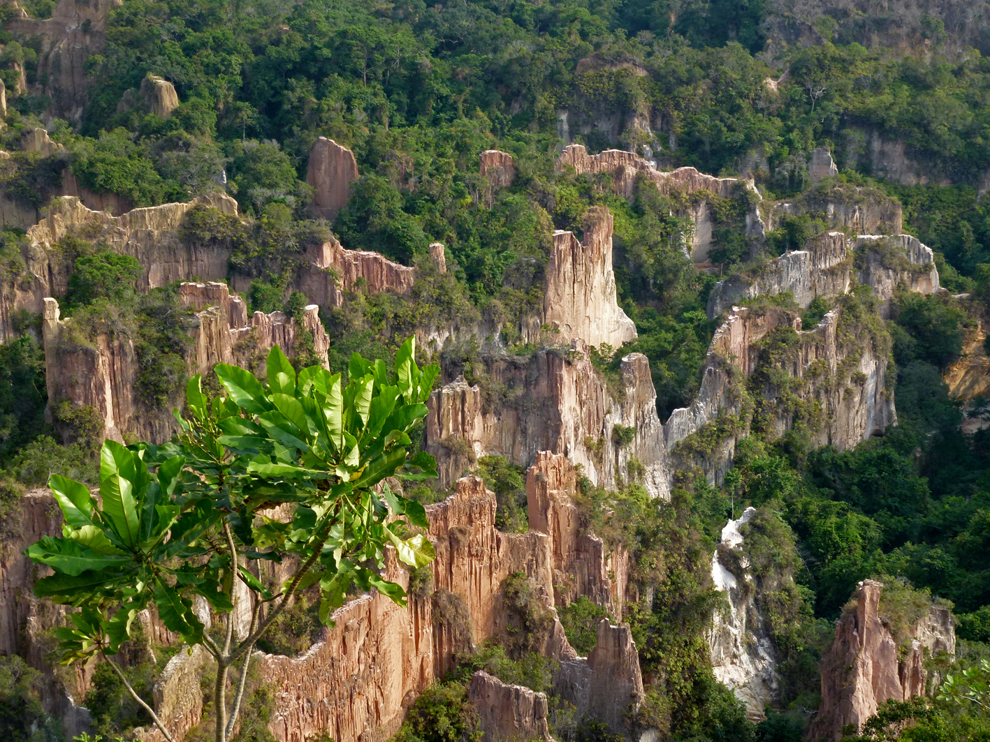 El bazar de la Retórica: SERIE CAÑONES: Cromatismo gabonés