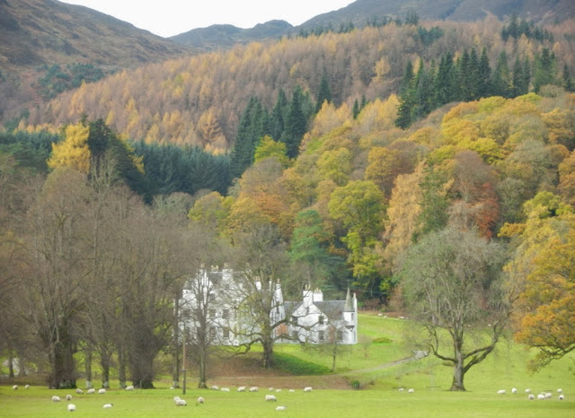 My Daily Walk: Comrie Earthquake House