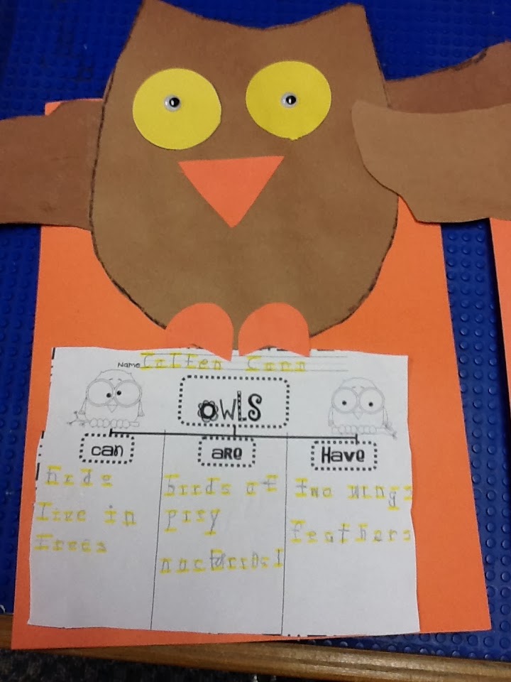 Mrs. Baldwin's Kindergarten: Owls