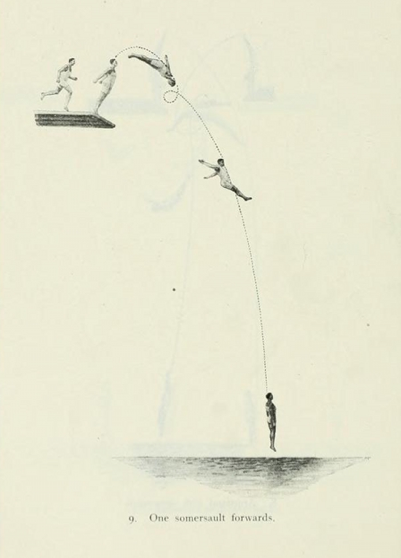 rachel johnston: Diving Diagrams