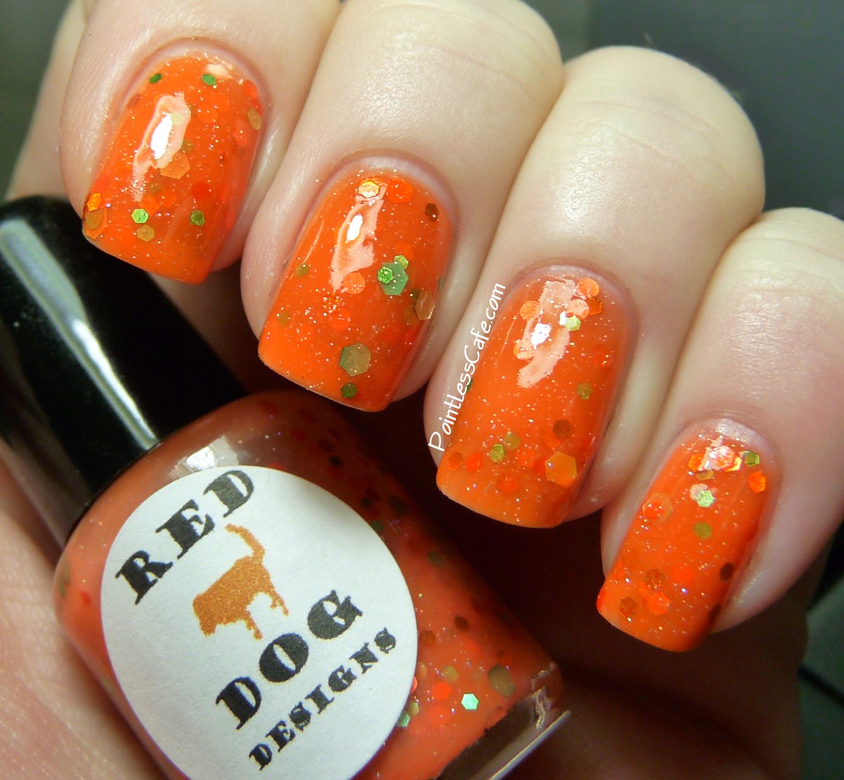 Red Dog Designs Spooky Treats Collection | Pointless Cafe