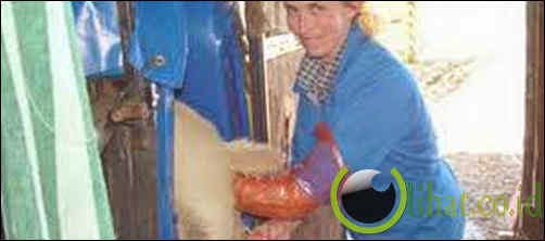 10 Pekerjaan Aneh yang bisa Dibilang Menjijikkan - Mata Internet Dunia