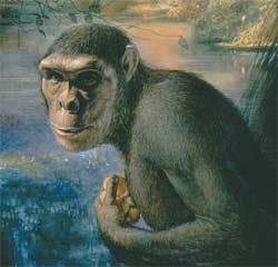 ARDIPITHECUS KADABBA: ¿UN CHIMPANCÉ BÍPEDO?