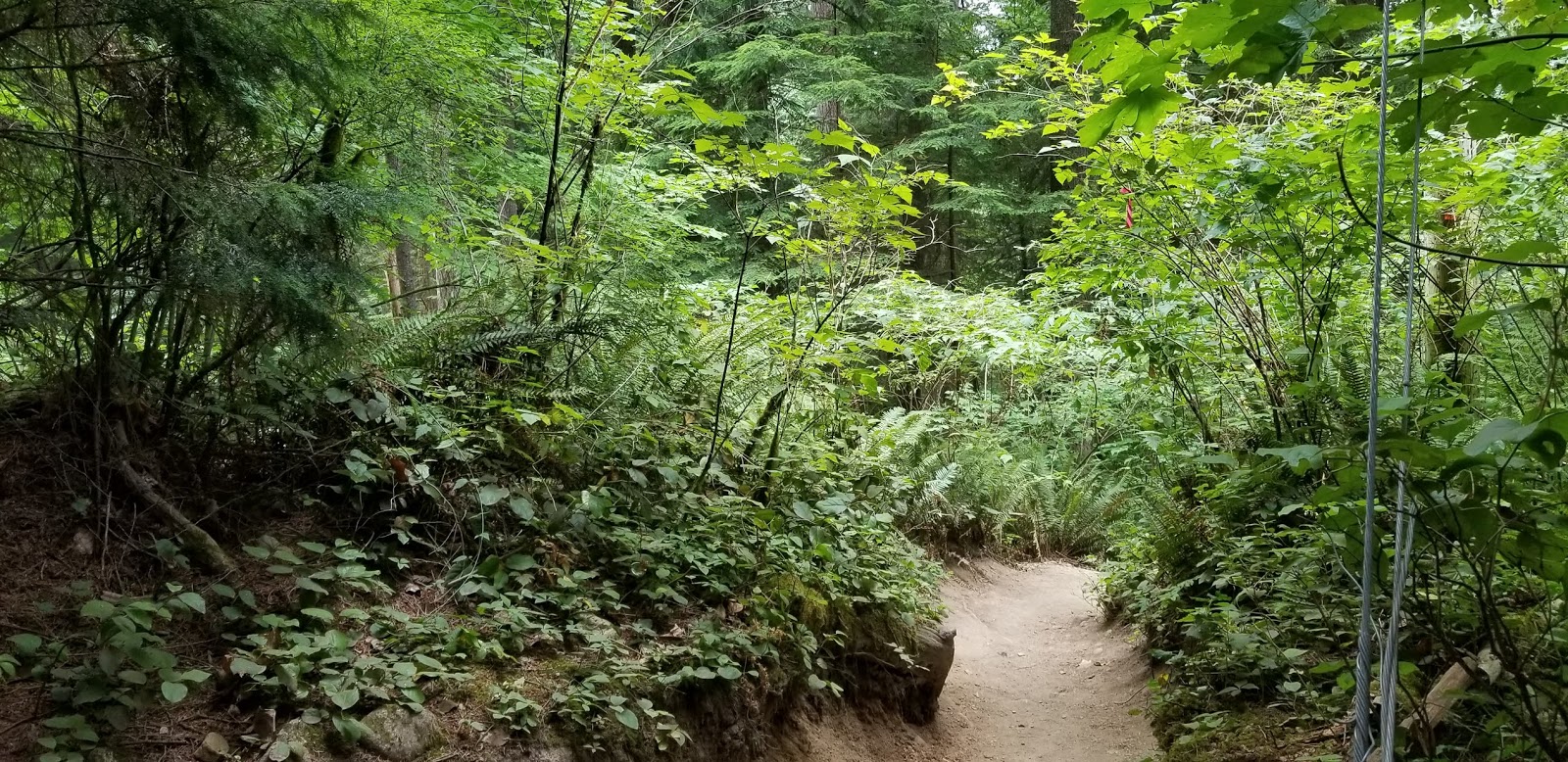 Deep Cove Quarry Rock Trail - BC, Canada - chichicho~