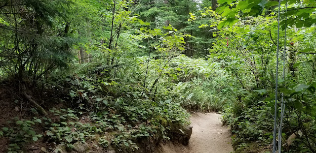 Deep Cove Quarry Rock Trail - BC, Canada - chichicho~