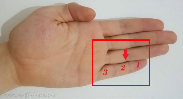 Kalian Harus Tahu!! Inilah Arti 3 Titik Di Kelingking, Ini Akan ...