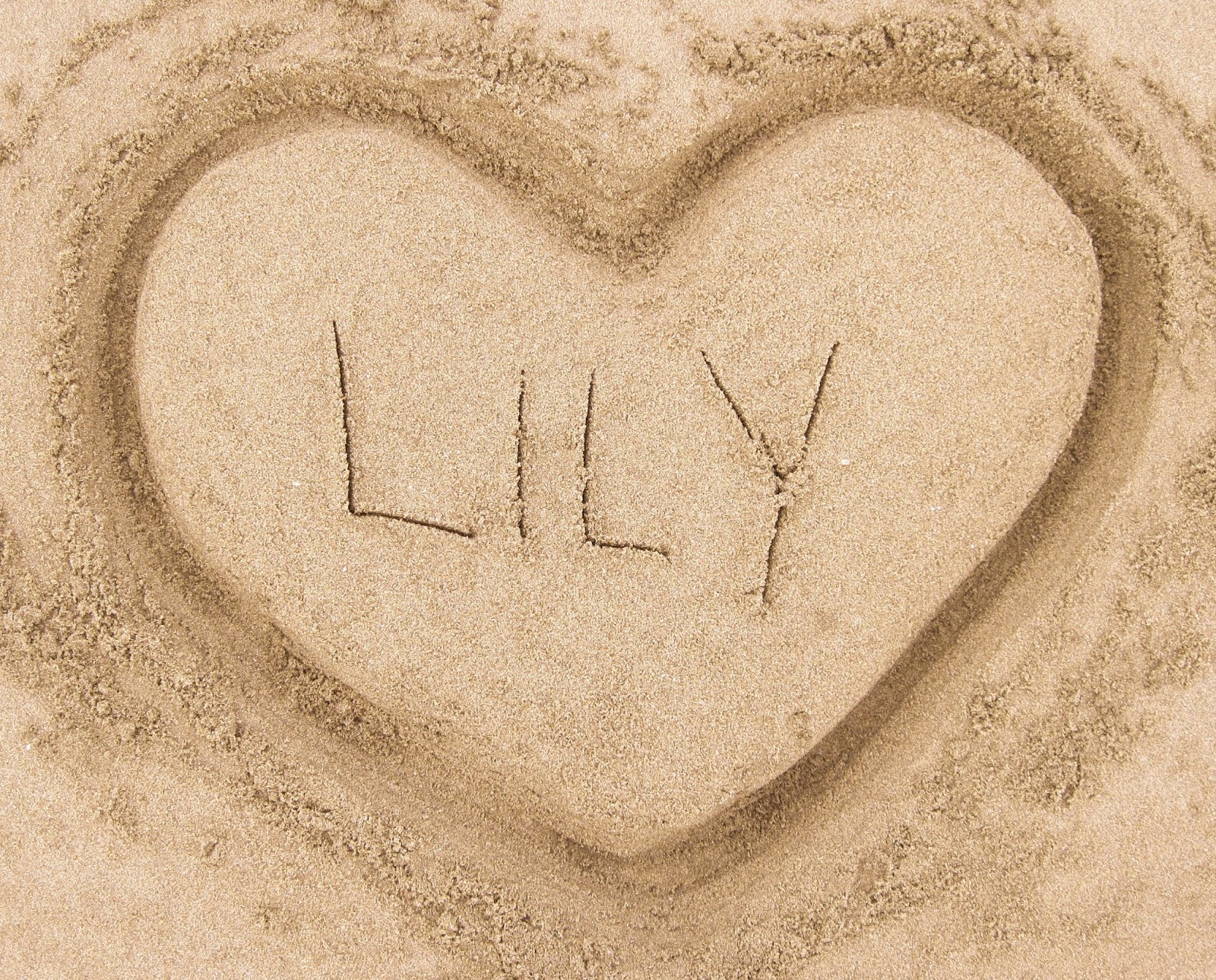 Rose and Her Lily: Valentine's Hearts