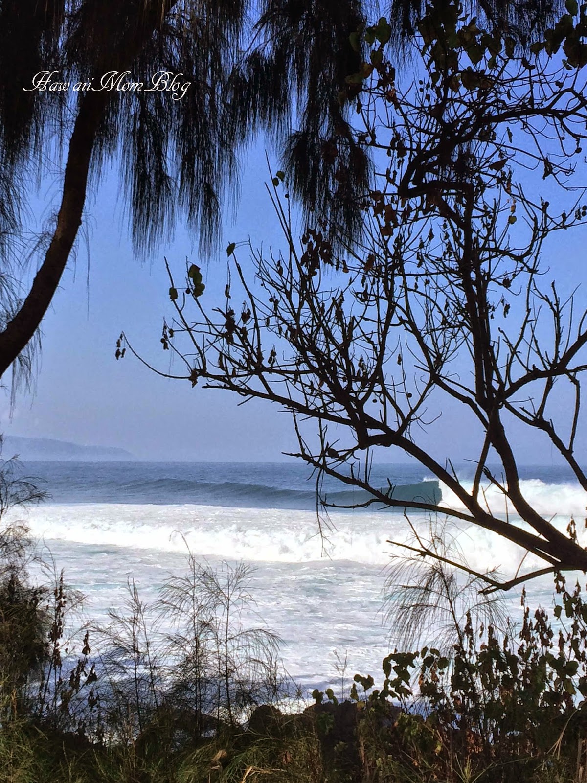 Hawaii Mom Blog: WW: Pupukea Beach Park