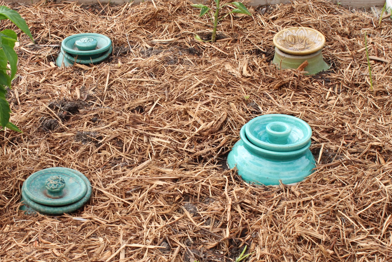 Rock-Oak-Deer: Watersaver Landscape Tour 2012: Olla's well in this ...