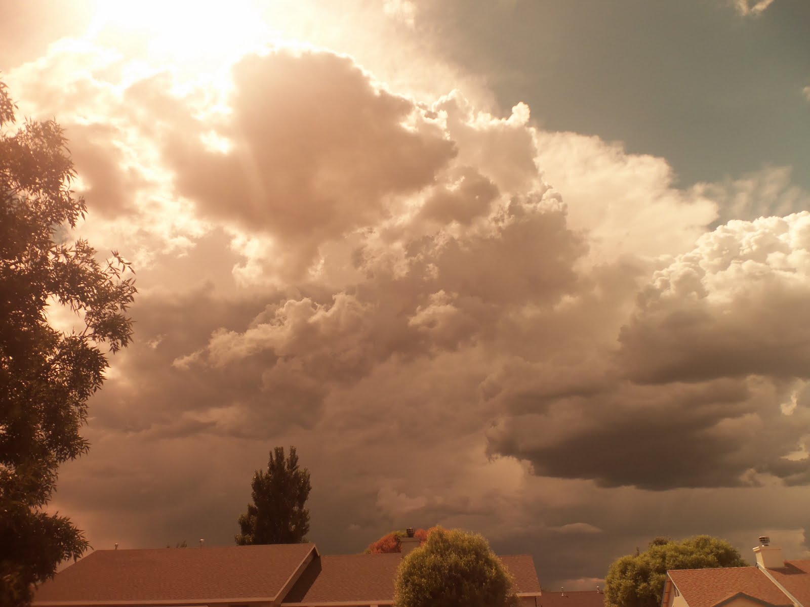 Prescott, AZ / Summer | A•Mused