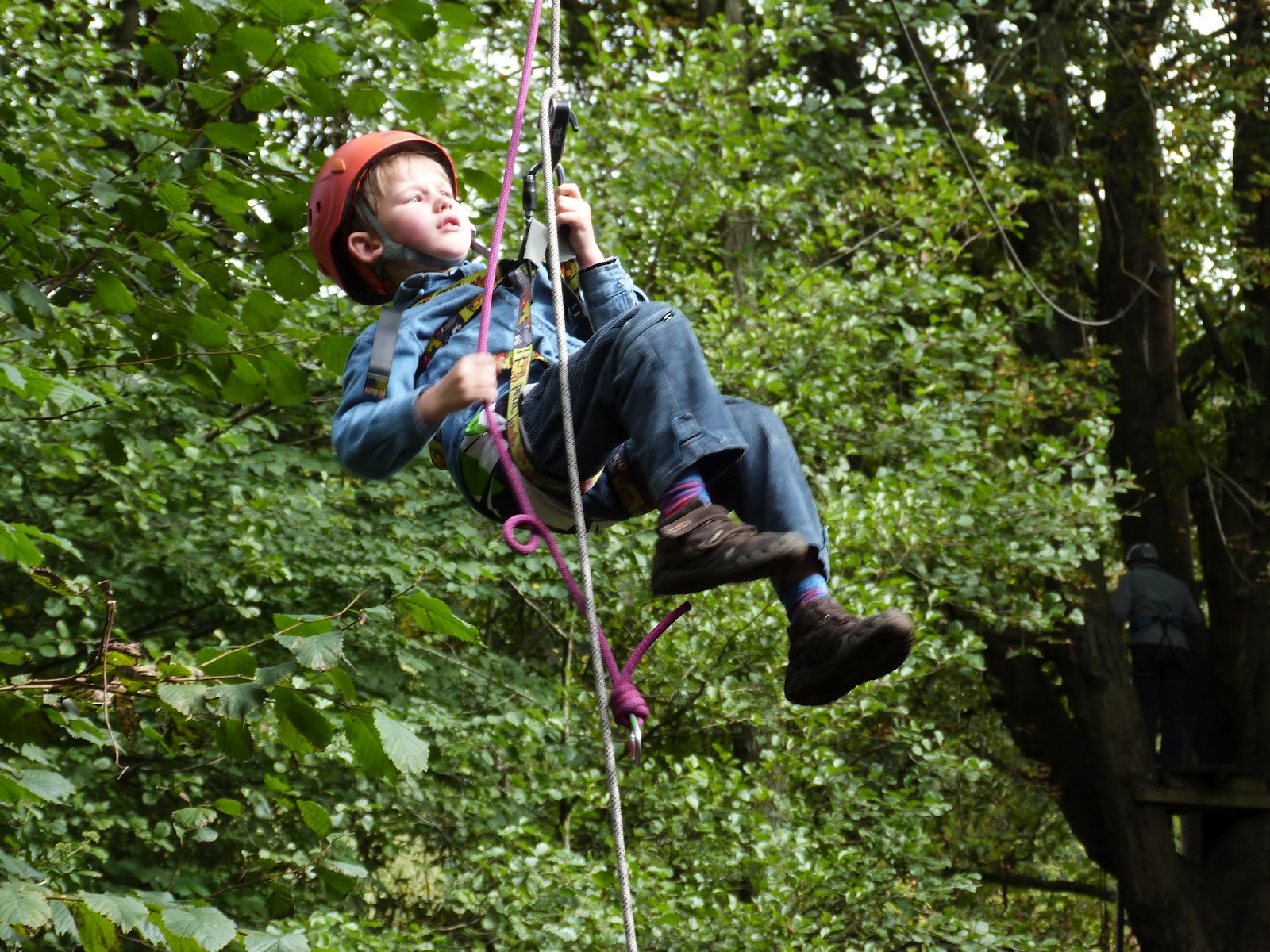 The Dean Field Studies Centre: DFSC 40th Anniversary Celebrations 2