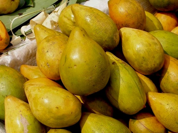 4 Manfaat Dan Khasiat Buah Gayam Bagi Kesehatan Tubuh - Obat Alami