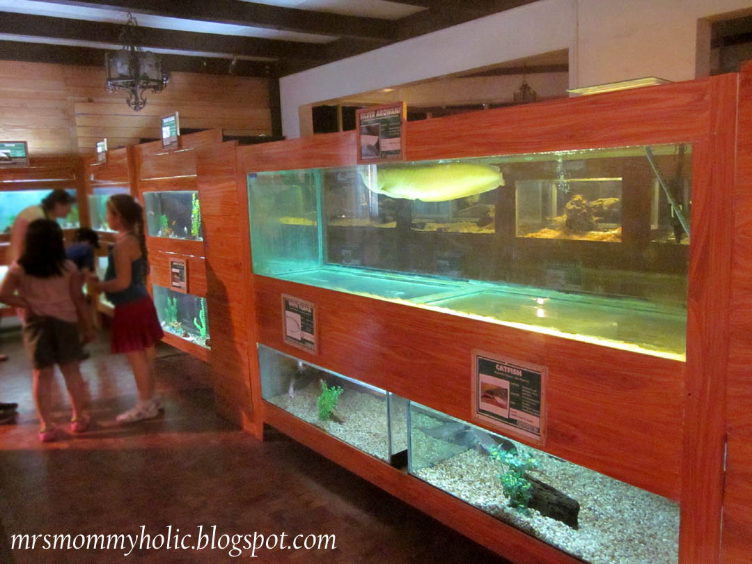 MrsMommyHolic: Residence Inn Zoo in Tagaytay